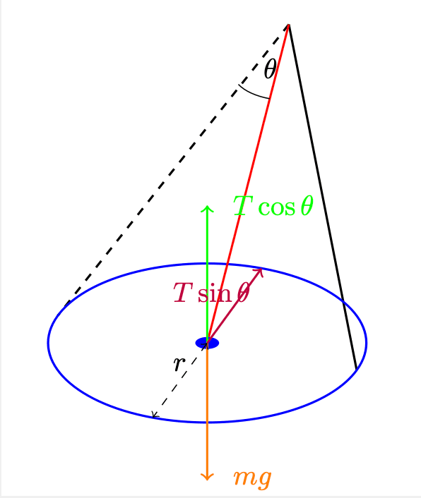 Circular Motion: Analysing Mass on a String - HSC Physics