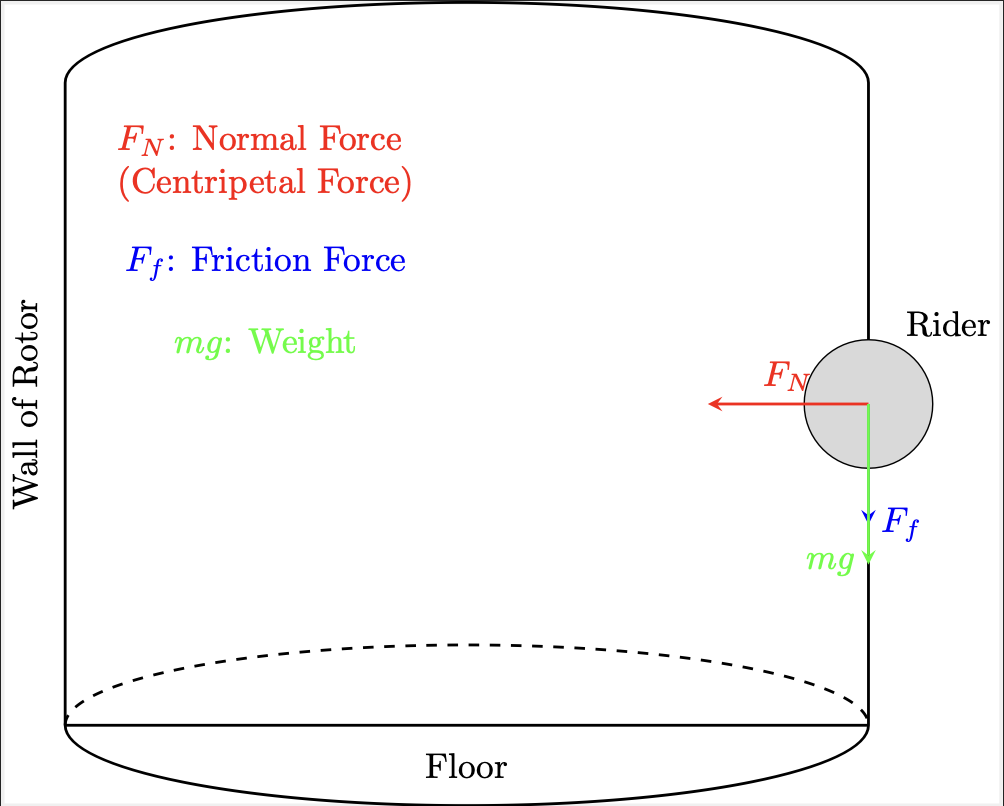 The Normal Force in Circular Motion - HSC Physics