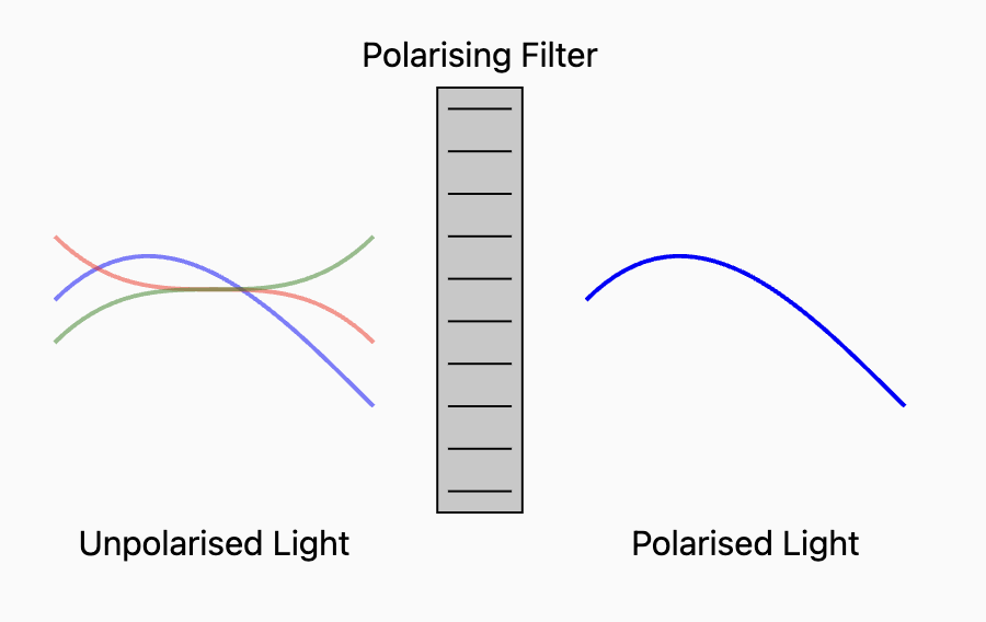 Understanding Light Polarisation In Wave Physics Hsc Physics